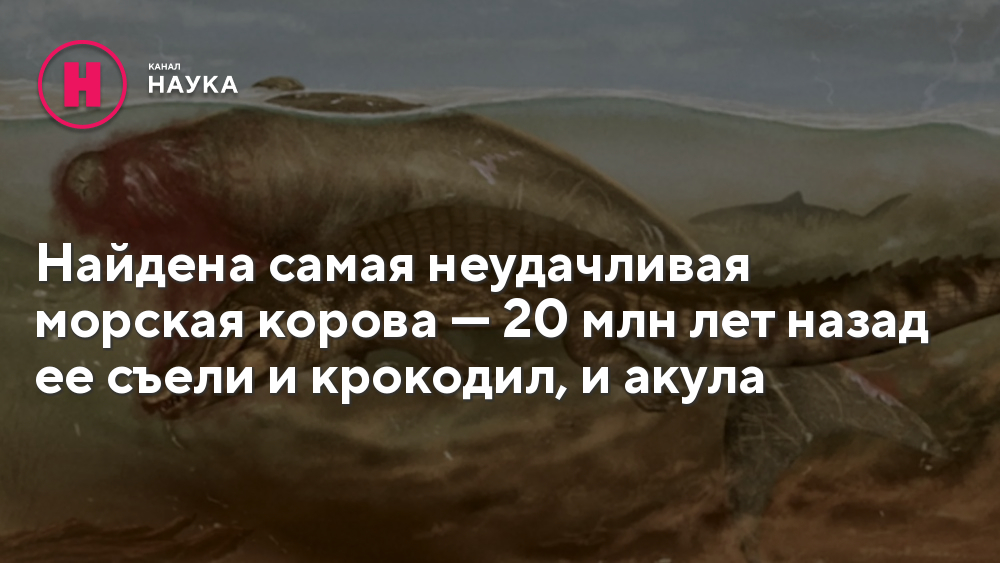 Найдена самая неудачливая морская корова — 20 млн лет назад ее съели и ...