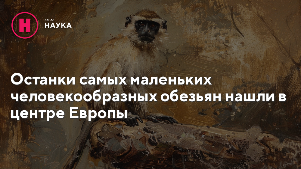 Останки самых маленьких человекообразных обезьян нашли в центре Европы ...